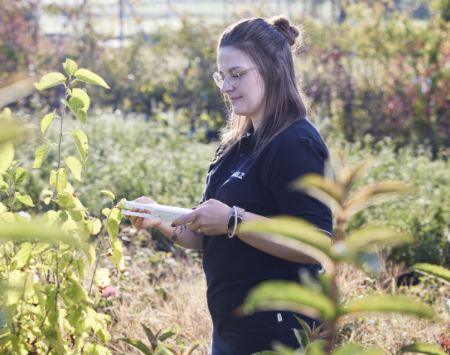 LSA-2050 LEAF-STATE ANALYZER – Bay Instruments, LLC