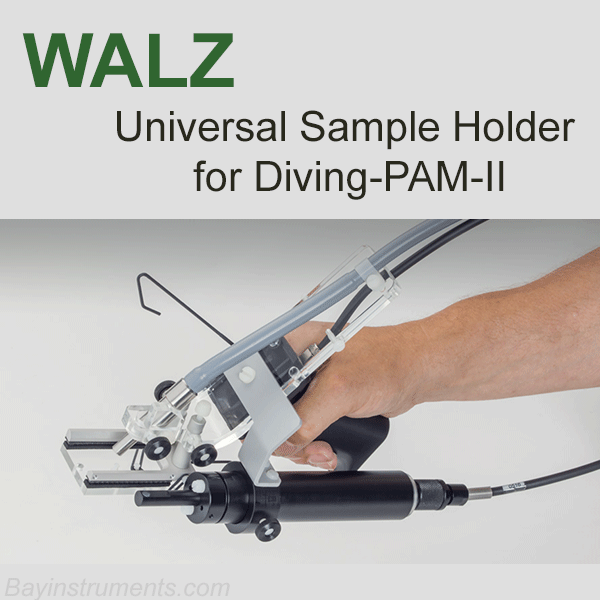 DIVING-USH Universal Sample Holder – Bay Instruments, LLC