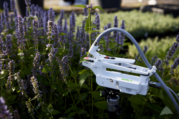 POROMETER for MINI-PAM-II – Bay Instruments, LLC