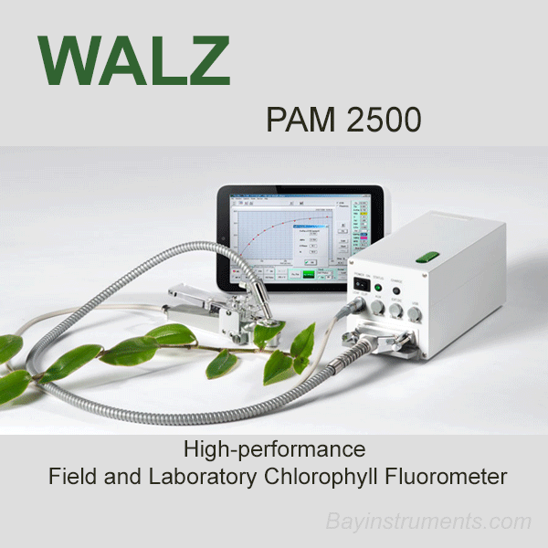 PAM-2500 Fluorometer – Bay Instruments, LLC