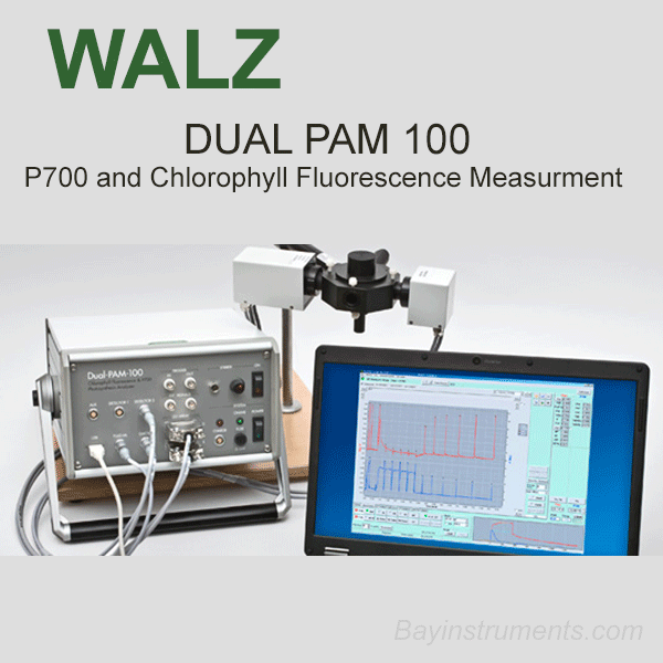 DUAL-PAM-100 P700 and Chlorophyll Fluorescence Measuring System – Bay ...