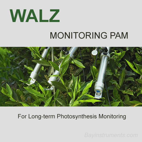 MONITORING-PAM Fluorometer – Bay Instruments, LLC