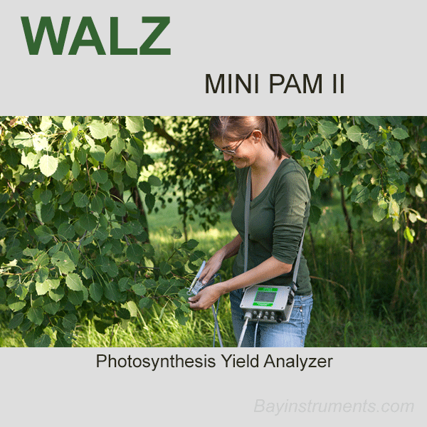 MINI-PAM II Photosynthesis Yield Analyzer – Bay Instruments, LLC