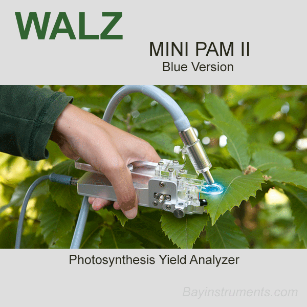 MINI-PAM II Photosynthesis Yield Analyzer – Bay Instruments, LLC