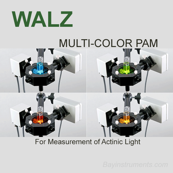 MULTI-COLOR-PAM Fluorometer – Bay Instruments, LLC
